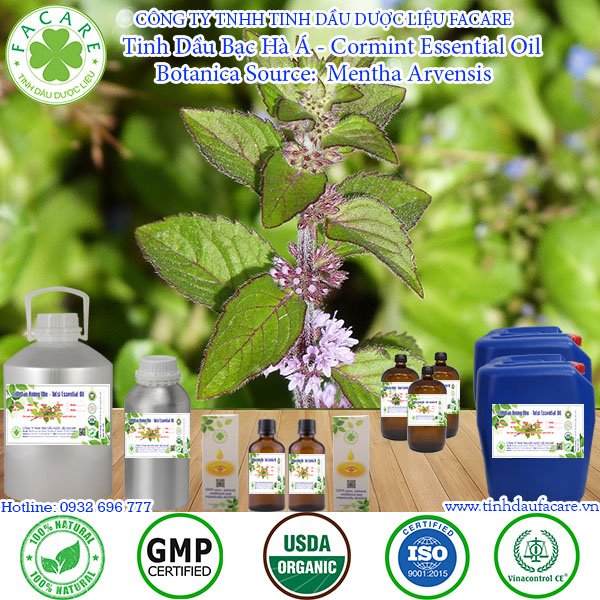 Tinh Dầu Bạc Hà Á – Cormint Essential Oil - Nhập Khẩu Và Phân Phối Tinh ...